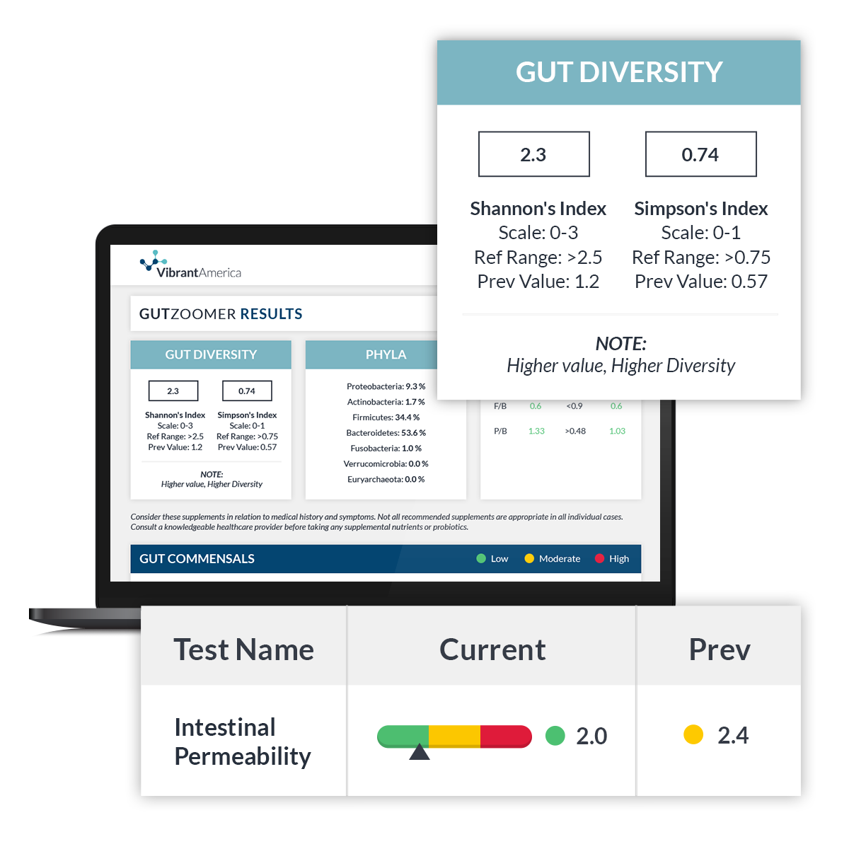 Gut Zoomer Test by Vibrant America – CrohnsColitisLifestyle
